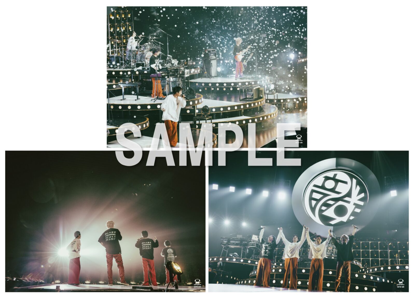 LIVE Blu-ray&DVD『DISH// ARENA LIVE 2022 “オトハラク”』発売決定！ | DISH//